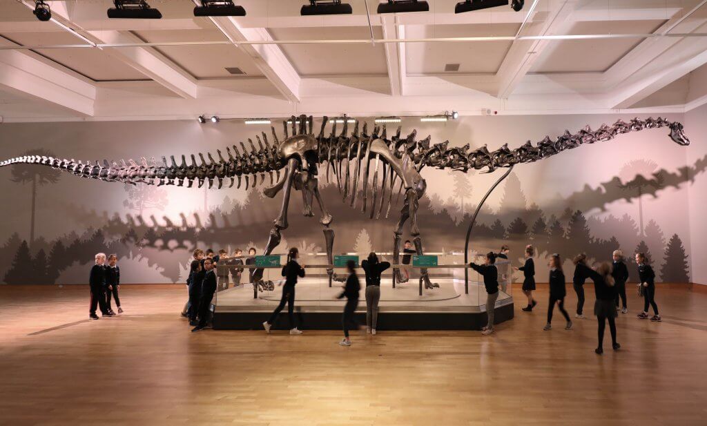 Dippy: The Nation's Favourite Dinosaur is Coming to Coventry - CVLife